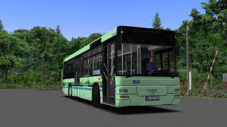 Palme d'Or - MAN SL202, MAN SG292